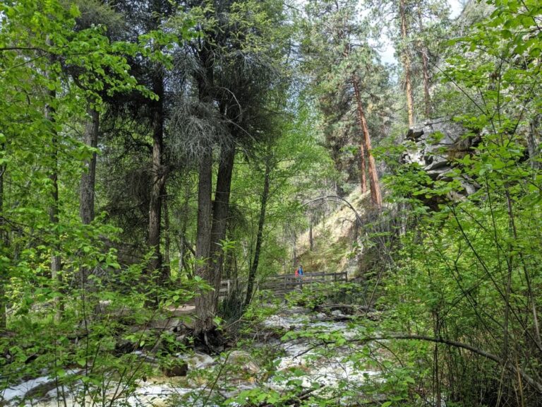 Naramata Creek Falls Hiking Guide: Where to Park, What to Expect – Best ...